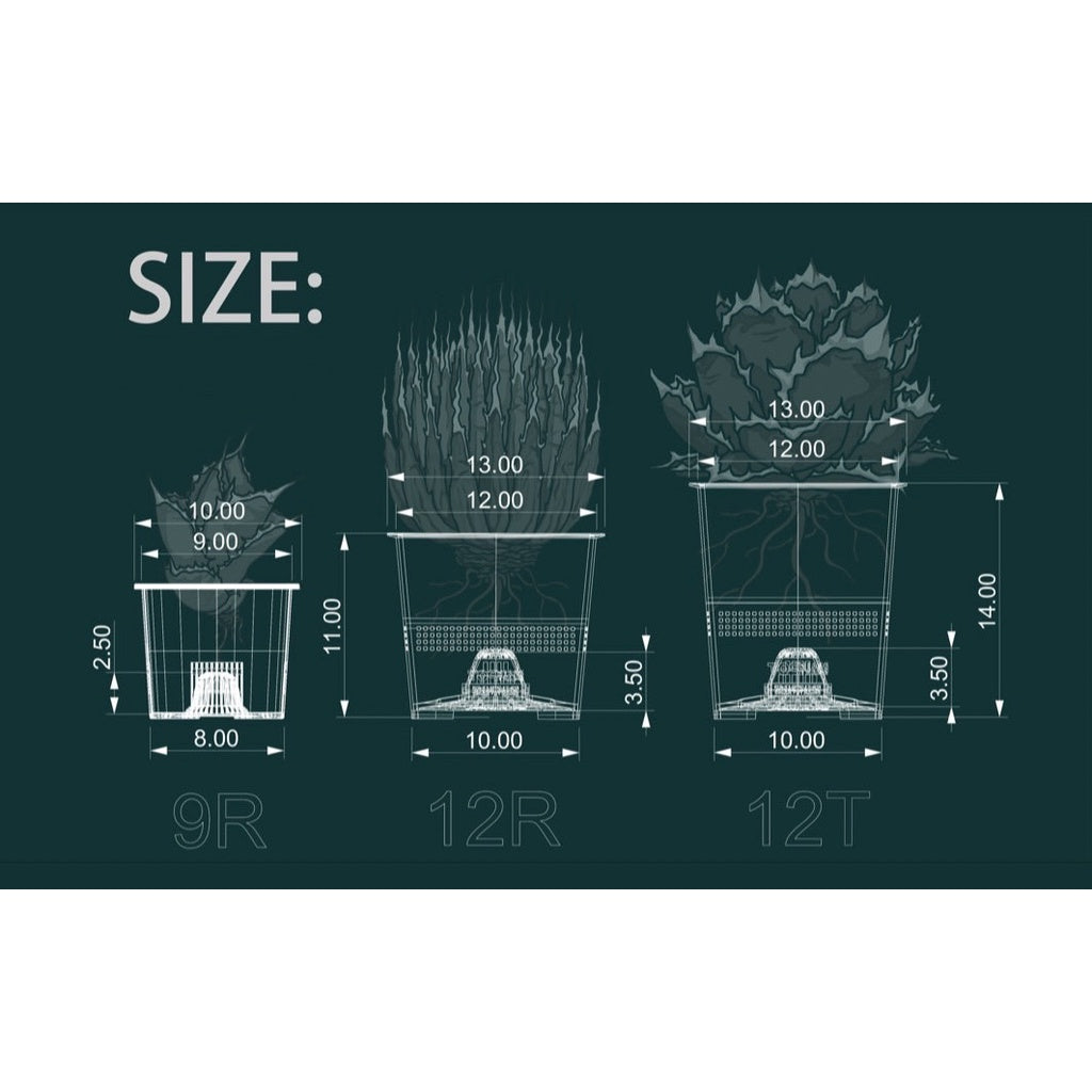 Drain Smart Drainage Pot //Drainage Smart Pot - EXTRA DEEP 12T (also s ...